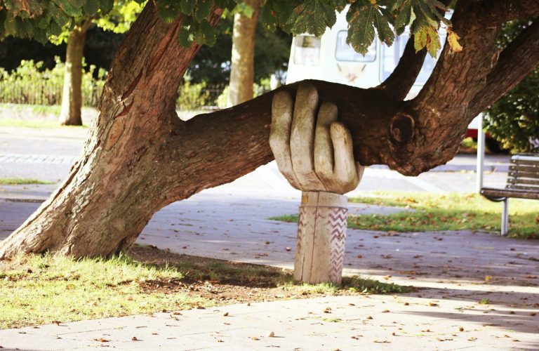 The Power of Support: Why Every Human Needs it to Succeed – UWS Open Hearts